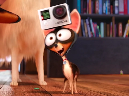 Peanut/Gallery | The Secret Life of Pets Wiki | Fandom