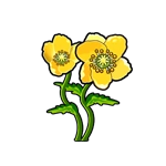 Moondance Poppy | The Secret Plant Society Wiki | Fandom