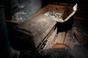 SCP-895 | The SCP Foundation Wiki | Fandom