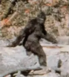 SCP-1000 | The SCP Foundation Wiki | Fandom