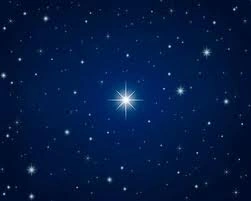 The Pathway Star | Seekers Wiki | Fandom