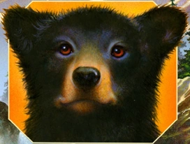 Lusa | Seekers Wiki | Fandom