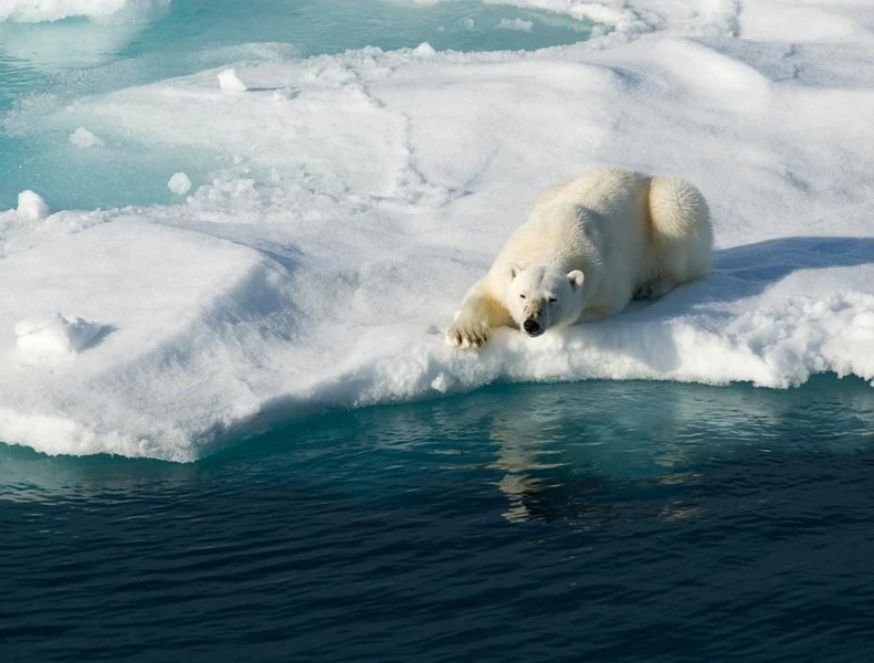 Nukka | Seekers Wiki | Fandom