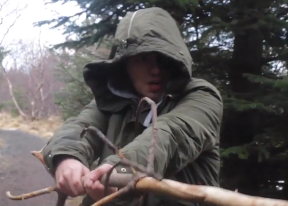 Tree Guardian | Seems Legit Studios Wiki | Fandom