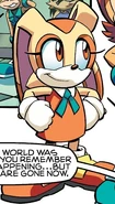Cream the Rabbit/Gallery | Sega Wiki | Fandom