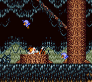 Tails Adventure | Sega Wiki | Fandom