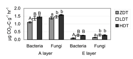 Mississippi Gruntworm (Diplocardia mississippiensis) | Segmented Worms ...
