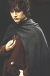 Frodon Sacquet | Wiki Le Seigneur des Anneaux | Fandom