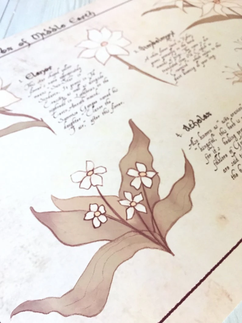 Lissuin | Wiki Le Seigneur des Anneaux | Fandom