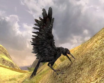 Crébain | Wiki Le Seigneur des Anneaux | Fandom