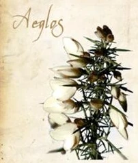 Aeglos | Wiki Le Seigneur des Anneaux | Fandom