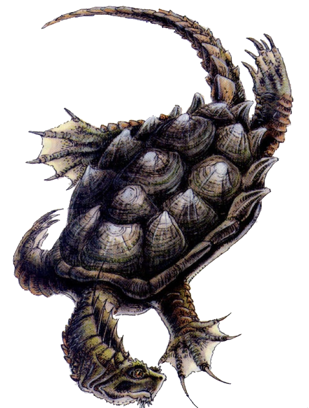 Ika | Wiki Seikatsu | Fandom