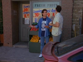 The Mango | WikiSein | Fandom