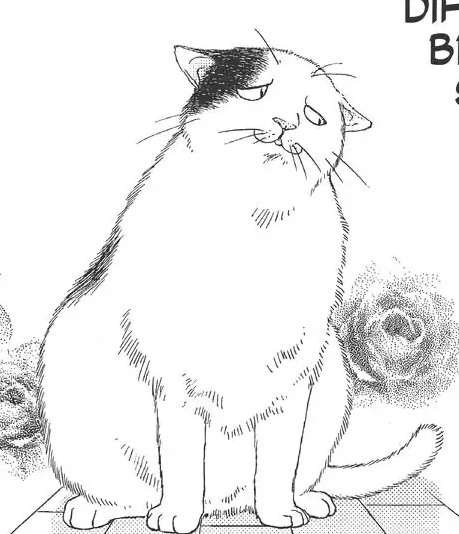 Catherine | Seiyuu Ka-! Wiki | Fandom