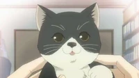 Sorata/Galería | Wiki Sekaiichi Hatsukoi | Fandom
