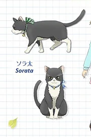 Sorata | Wiki Sekaiichi Hatsukoi | Fandom