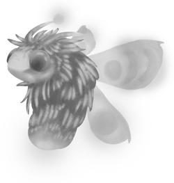 Moana | Sekaiju Wikia | Fandom