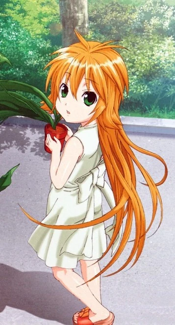 Kusano | Sekirei - The Wings of Love Wiki | Fandom