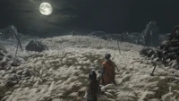 Kuro, The Divine Heir | Sekiro: Shadows Die Twice Wiki | Fandom