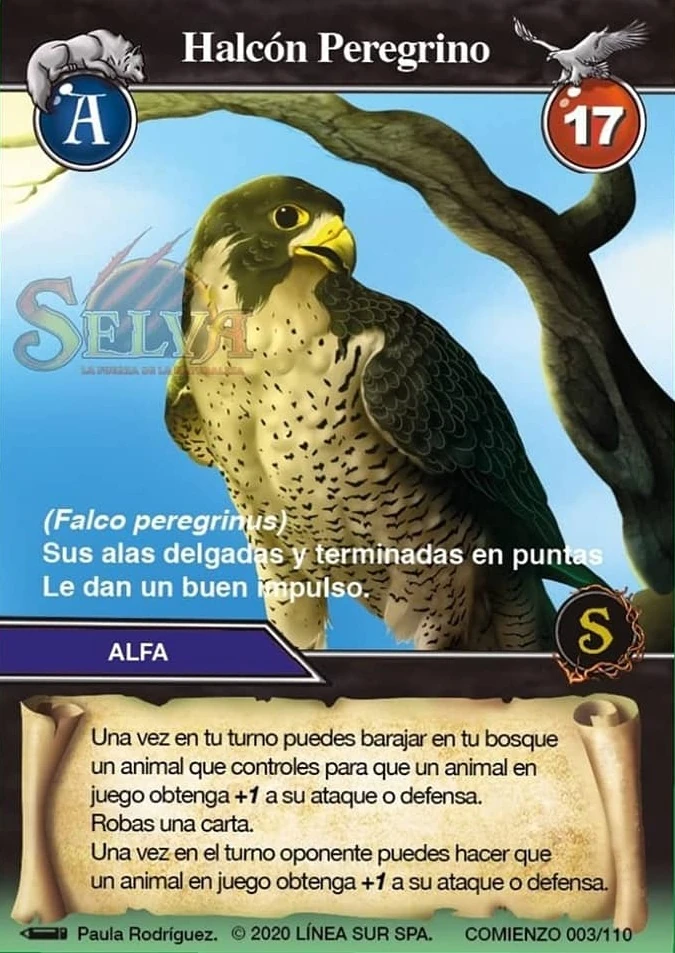 Halcón Peregrino | Wiki Selva | Fandom