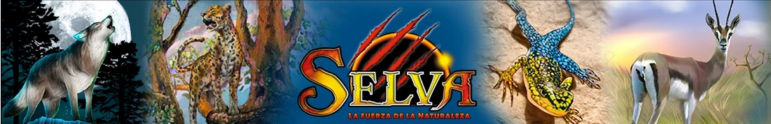Lista de cartas de Comienzo | Wiki Selva | Fandom