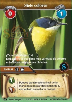 Siete Colores | Wiki Selva | Fandom
