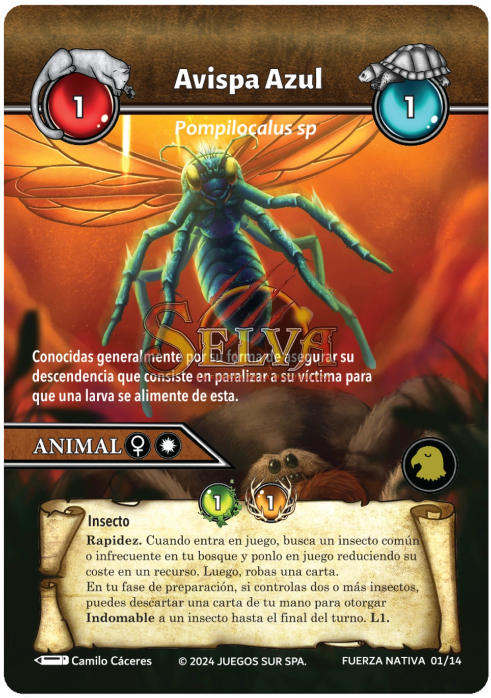 Avispa Azul | Wiki Selva | Fandom