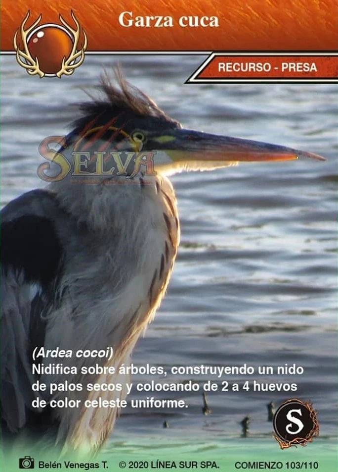 Garza Cuca | Wiki Selva | Fandom