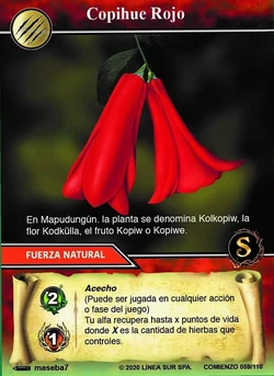 Copihue Rojo | Wiki Selva | Fandom