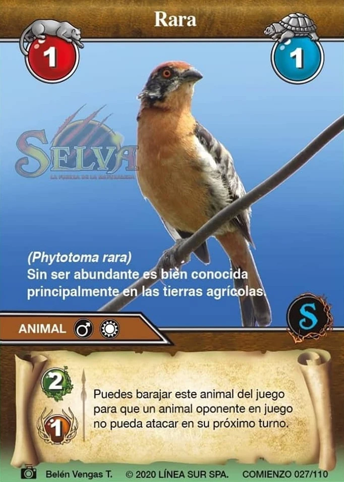 Rara | Wiki Selva | Fandom