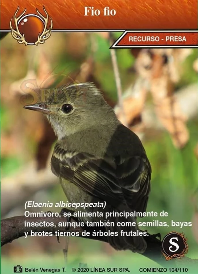 Fio Fio | Wiki Selva | Fandom