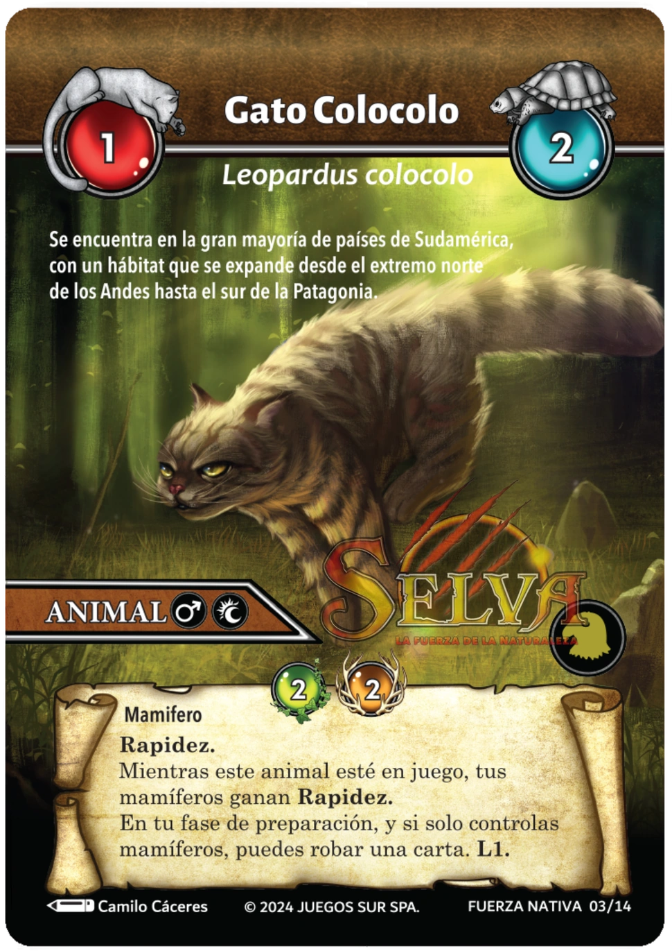 Gato Colocolo | Wiki Selva | Fandom