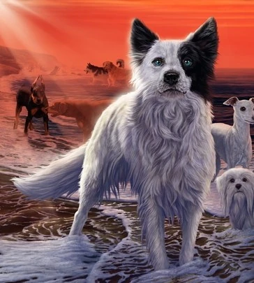 Kuu | Selviytyjät Wikia | Fandom
