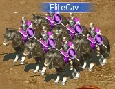 Elite Cavalry | Senatry Wiki | Fandom