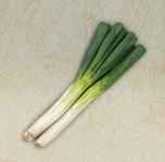 Leek | Sengoku Dynasty Wiki | Fandom