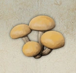 Enoki Mushroom | Sengoku Dynasty Wiki | Fandom