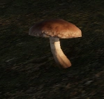 Wooden Hoe | Sengoku Dynasty Wiki | Fandom