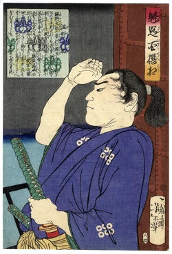 Sanada Yukimasa | Sengoku Period Wiki | Fandom