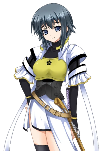 Akechi Mitsuhide | Sengokuhime Wiki | Fandom