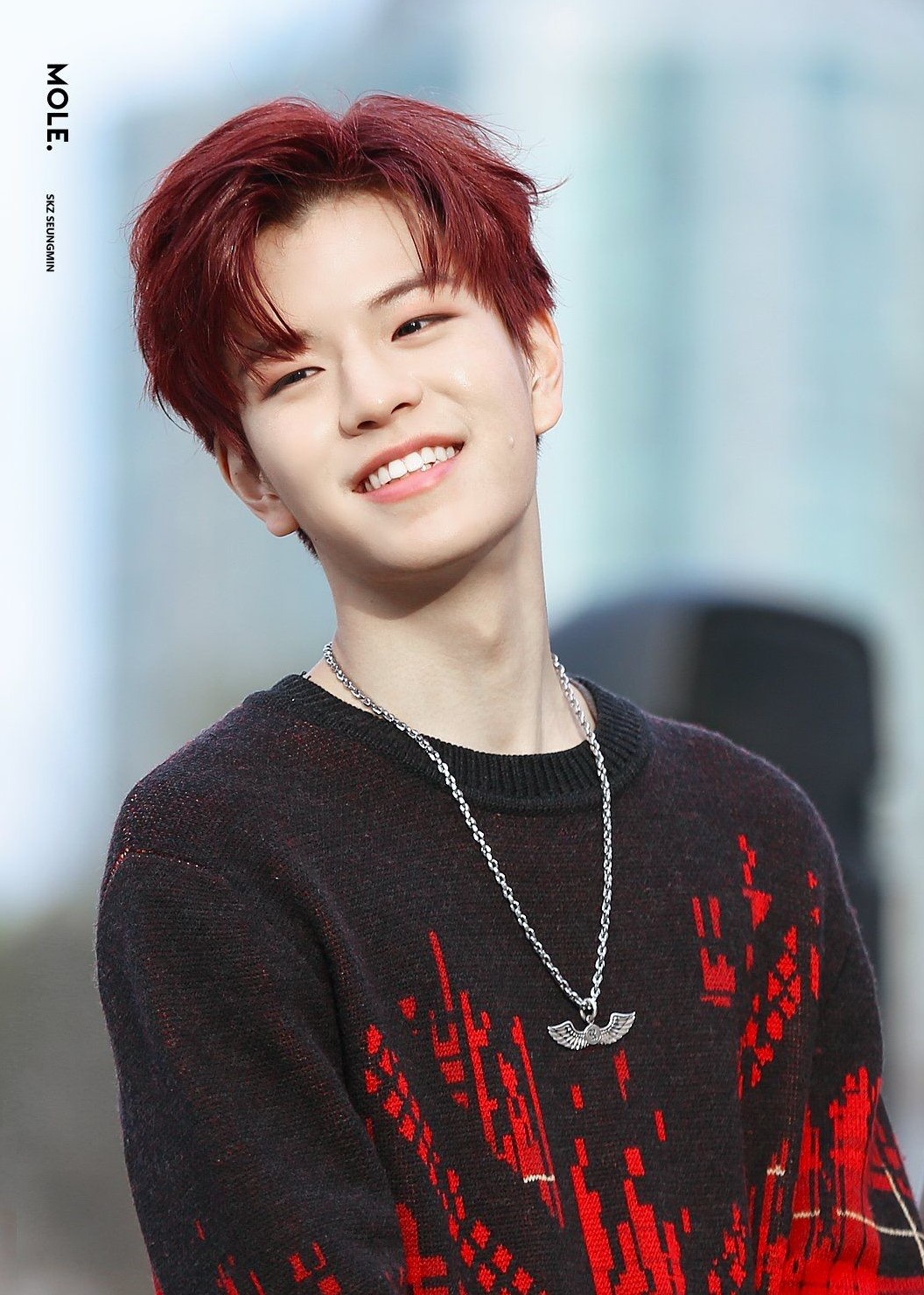 Seungmin Seogwipoteez Wiki Fandom