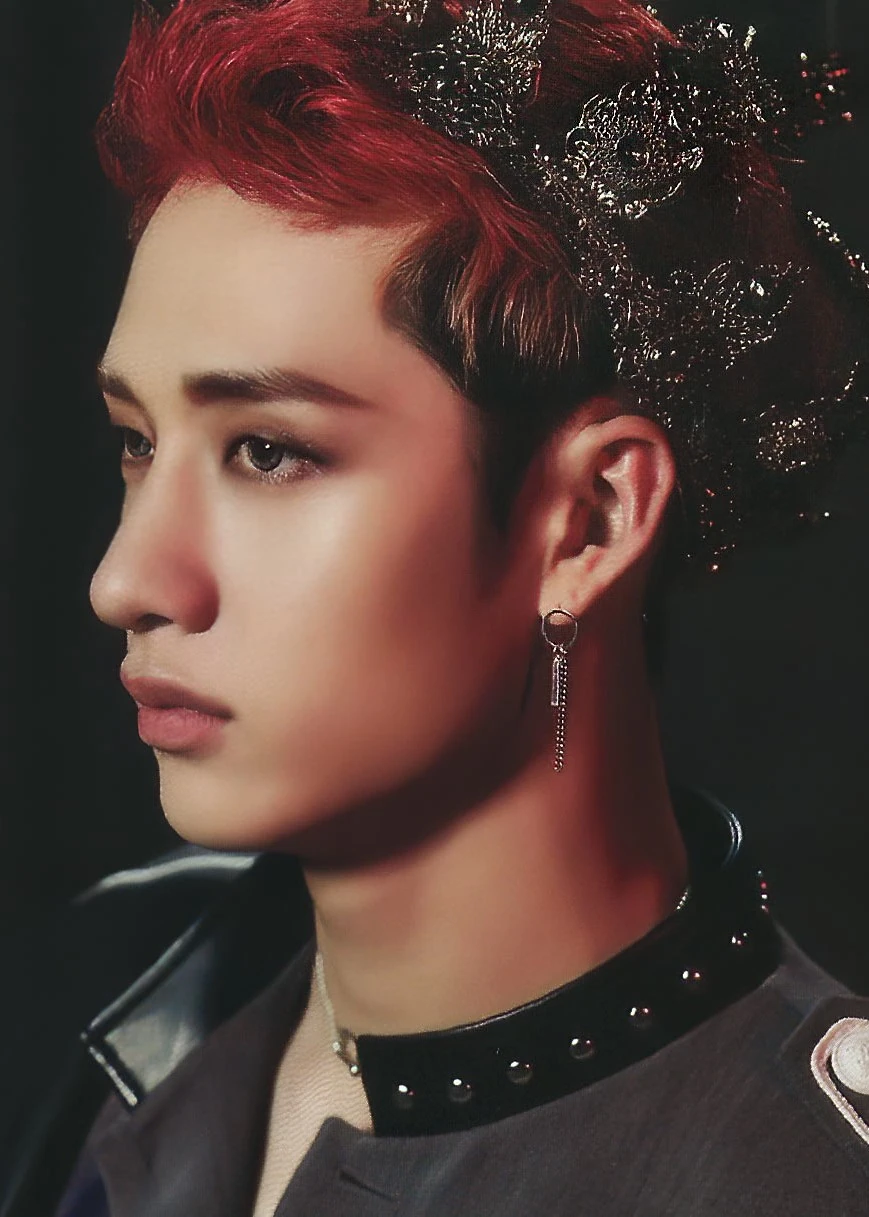 Bang Chan | Seogwipoteez Wiki | Fandom