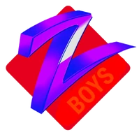 Zee Boys | Sergipe tube Wiki | Fandom