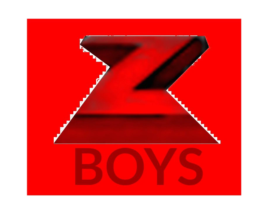 Zee Boys | Sergipe tube Wiki | Fandom