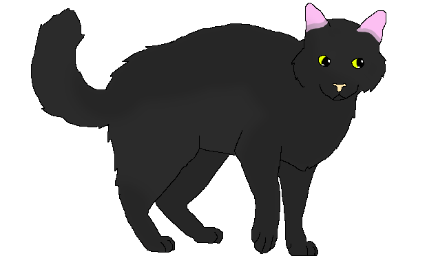 Unknown Black Cat | Seri pixel Biologist Warriors Wikia | Fandom