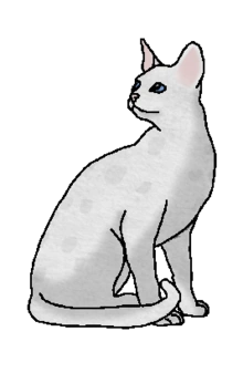 Lightheart | Seri pixel Biologist Warriors Wikia | Fandom