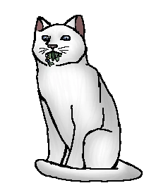 Category:Characters | Seri pixel Biologist Warriors Wikia | Fandom