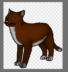 Art Tutorials | Seri pixel Biologist Warriors Wikia | Fandom