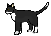 Bird | Seri pixel Biologist Warriors Wikia | Fandom