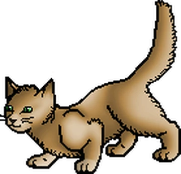 Warrior Cats Squirrelpaw