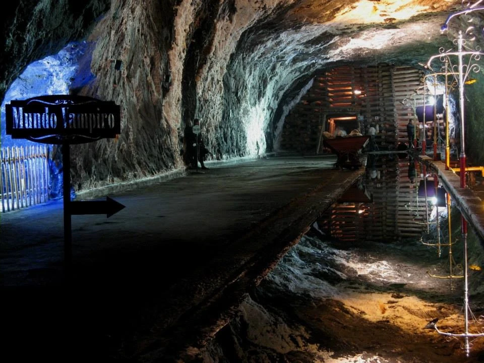 Le monde des Vampires | Wiki Série Chica Vampiro | Fandom